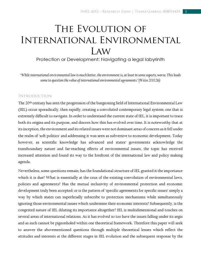 The Evolution of International Environme | PDF | Sustainability ...