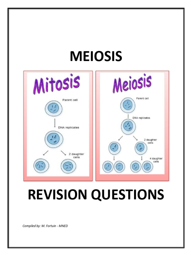 Meiosis Study Guide for Students | PDF
