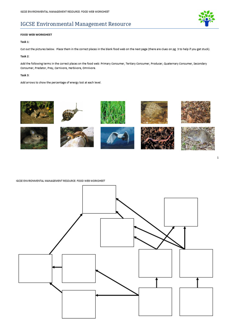 (M9.1) COMPLETE - Food Web Worksheet | PDF