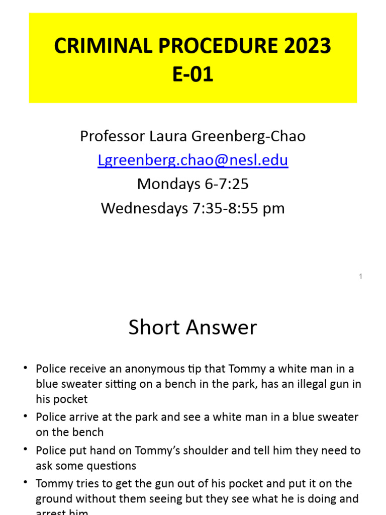 PPT Chap 19 Terry Stops 2023 | PDF | Search And Seizure | Probable Cause