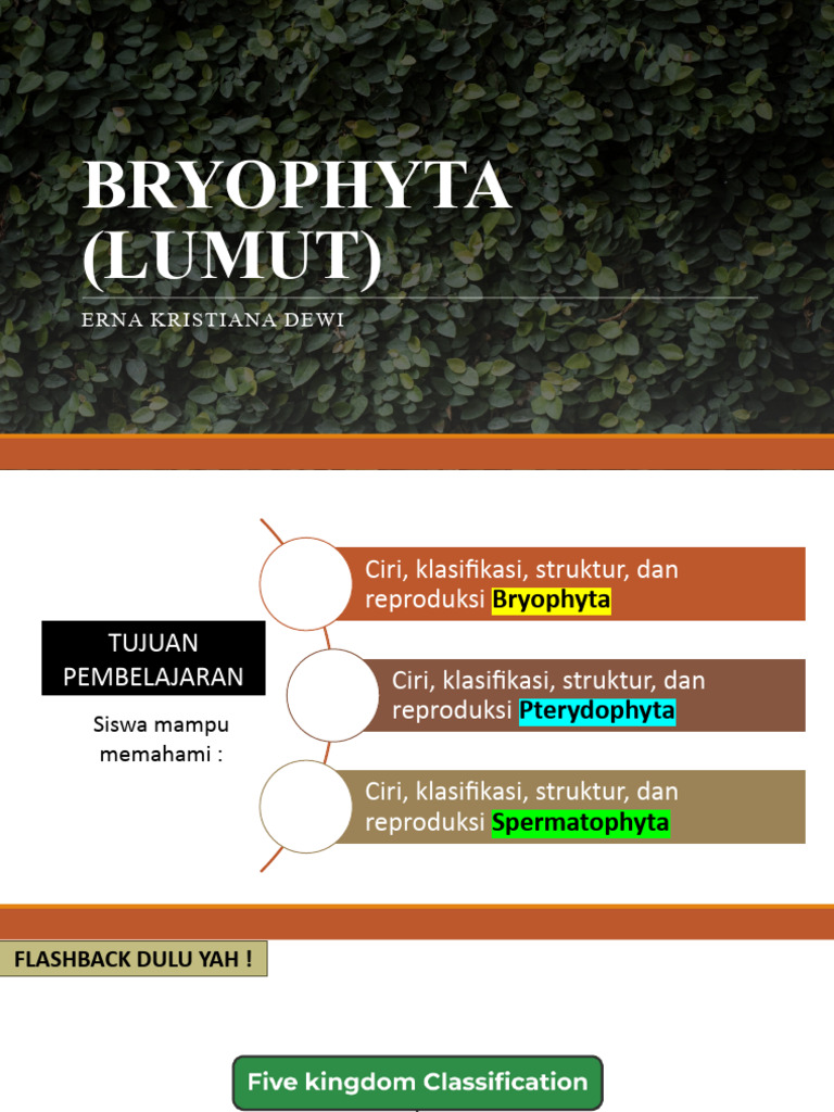 Ciri dan Reproduksi Bryophyta (Lumut) | PDF | Griya & Taman | Sains ...