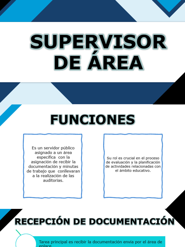 Funciones del Supervisor de Área en Auditorías | PDF | Planificación