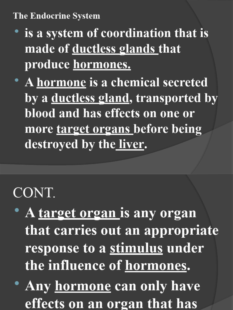 The Endocrine System | PDF | Endocrine System | Luteinizing Hormone