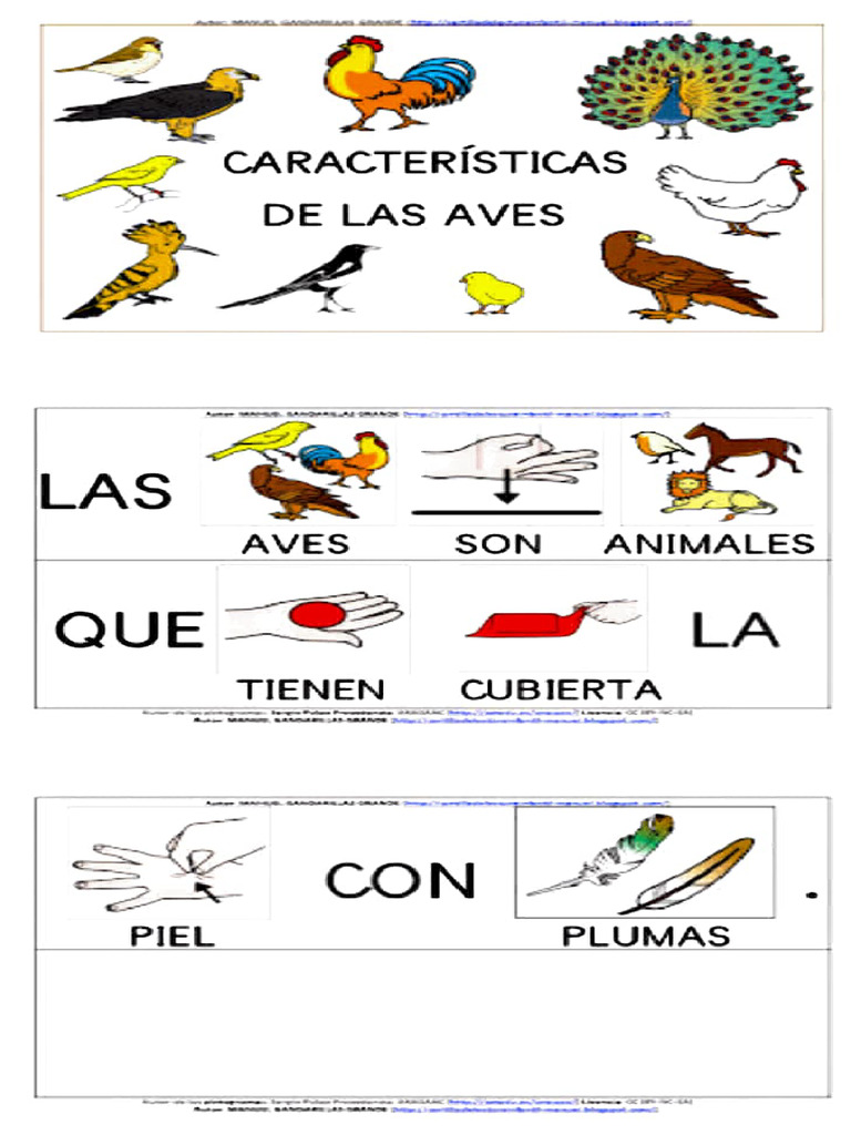 Aves Con Pictogramas | PDF | Aves | Pollo