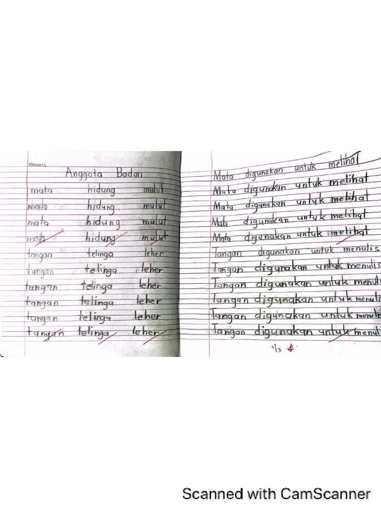 CamScanner 04-09-2024 12.24 | PDF