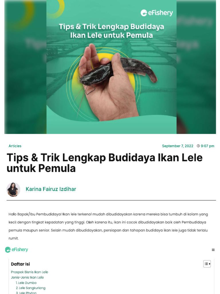 Tips & Trik Lengkap Budidaya Ikan Lele | PDF