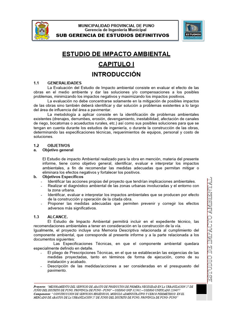 5.2 ESTUDIO DE IMPACTO AMBIENTAL 27 DE JUNIO | PDF | Evaluación de impacto ambiental | Entorno ...