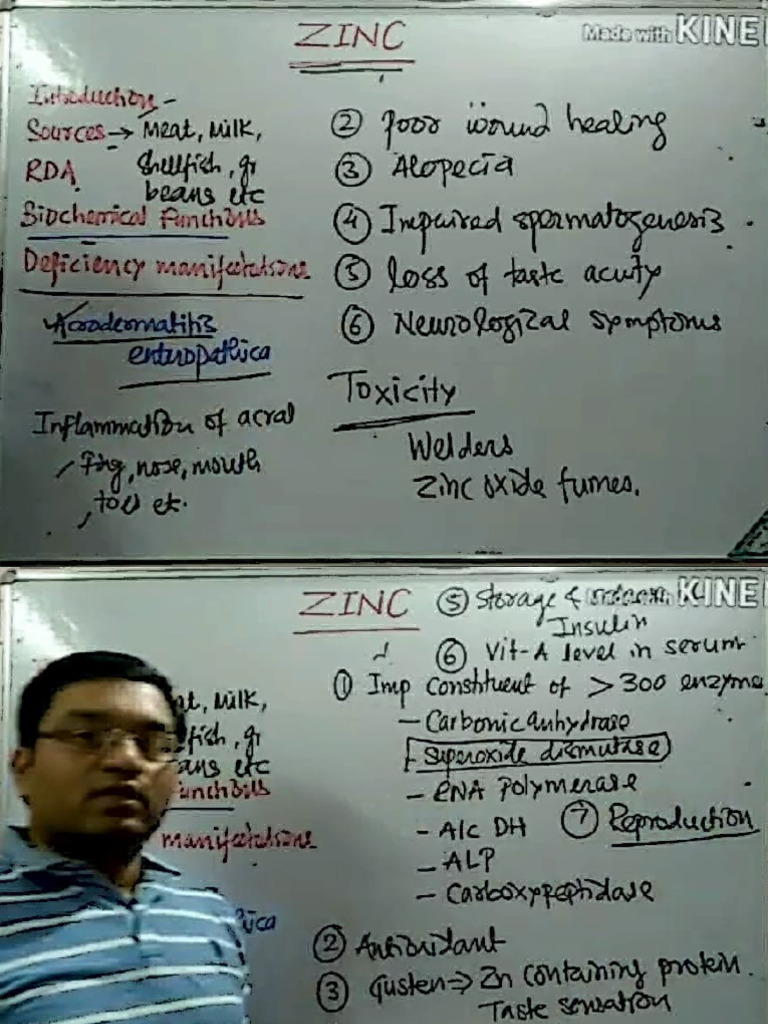 Zinc: Sources, RDA, and Health Effects | PDF