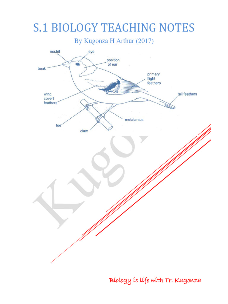 s.1 Biology Notes New | PDF | Protozoa | Fungus