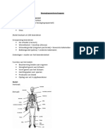 Anatomie Van de Heup | PDF