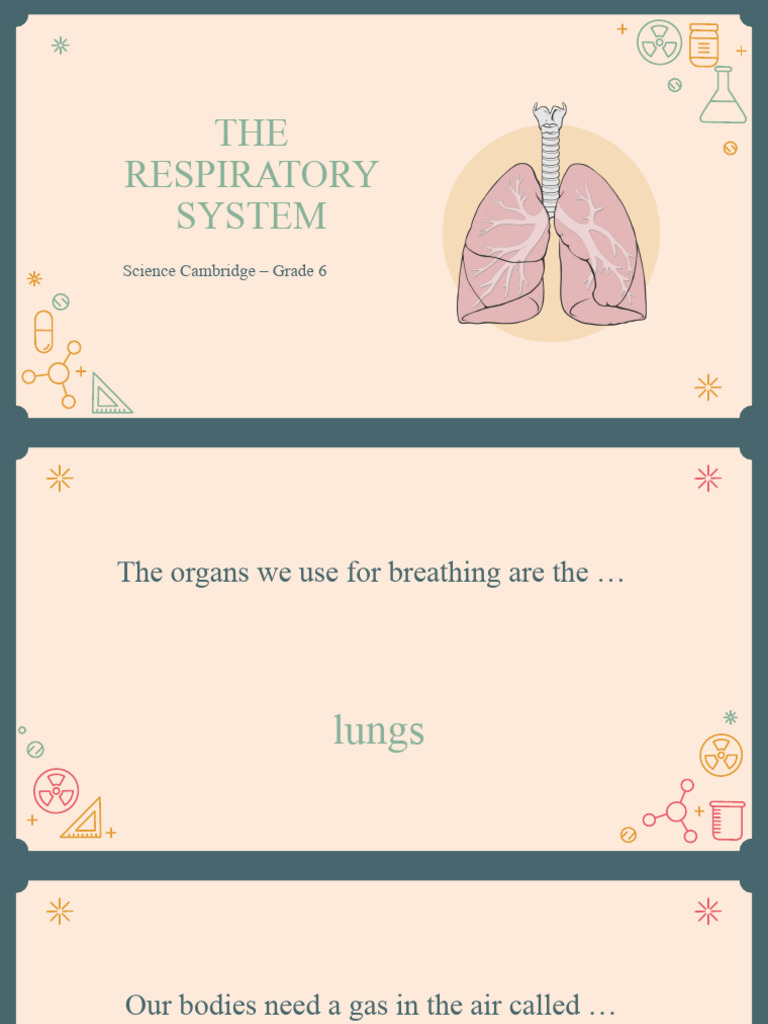 3 Unit 1 - 1.2 The Lungs | PDF