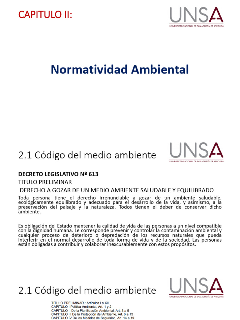 Normatividad Ambiental en Perú: MINAM y SEIA | PDF | Salud y bienestar