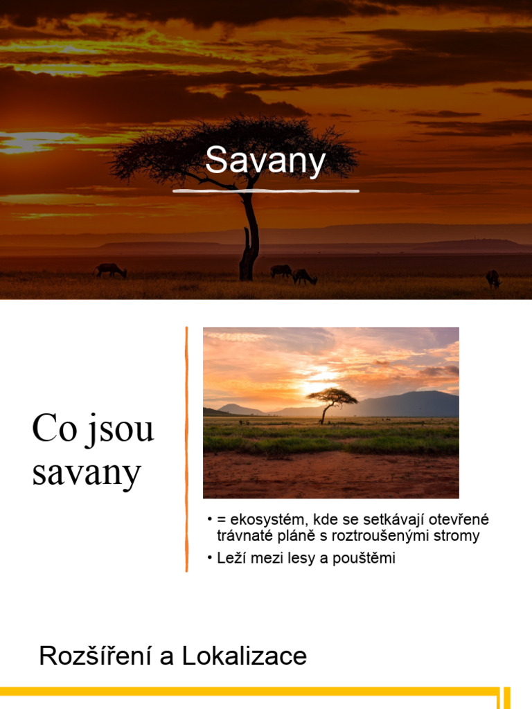 Savany | PDF