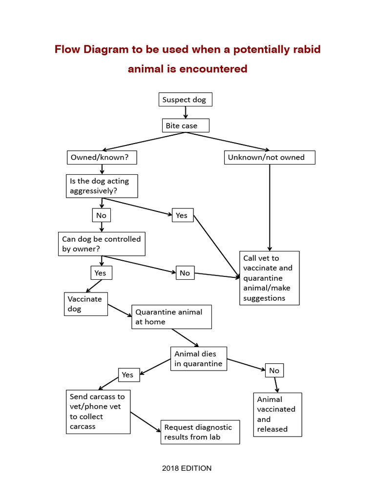 Rabies Management Flow Diagram | PDF