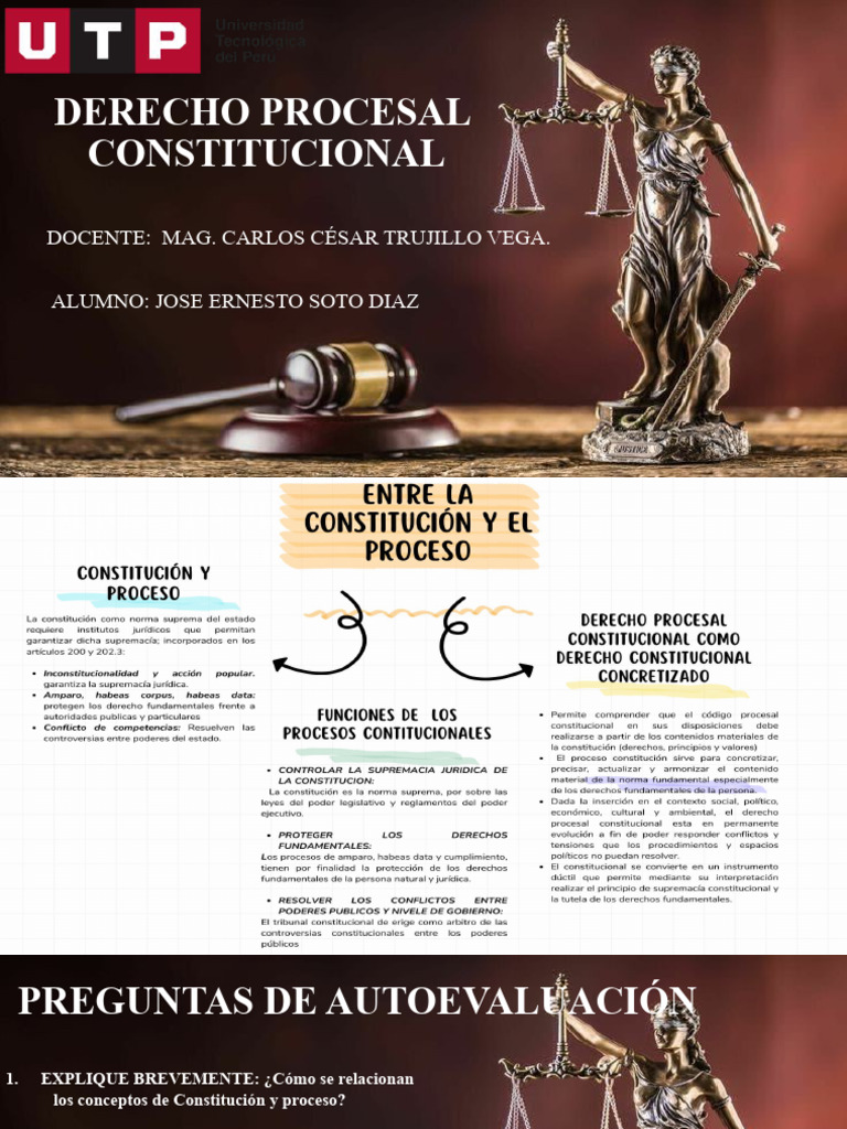 Derecho Procesal Constitucional | PDF