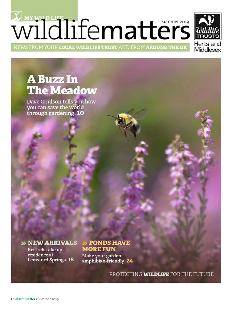 Wildlife Matters WM192 - WEB | PDF | Wetland | Habitat