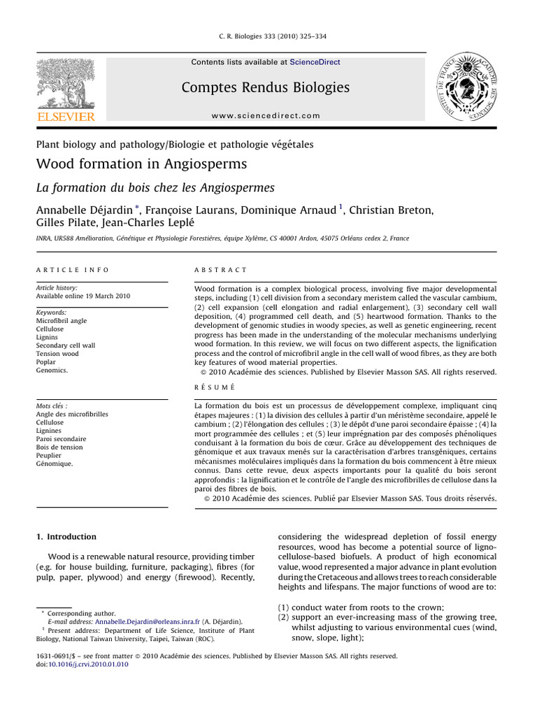Wood Formation in Angiosperms | PDF | Wood | Lignin