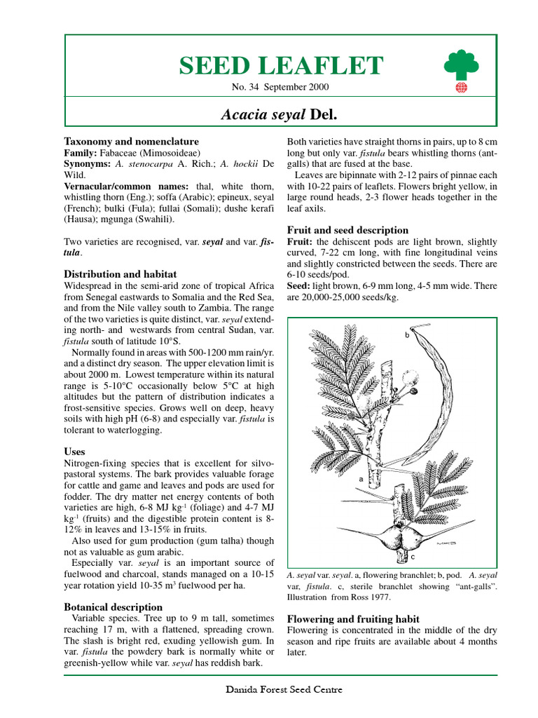 Acacia Seyal - Int | PDF | Seed | Trees