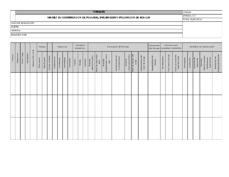 FORMATO MATRIZ IPER | PDF