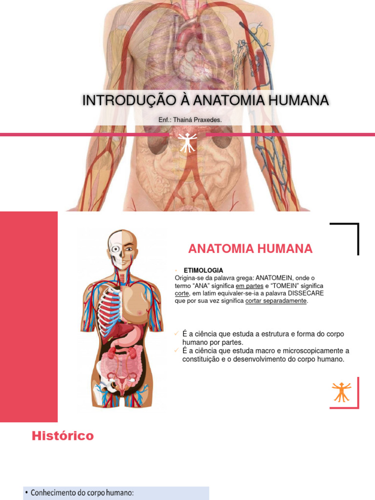 Anatomia-Aula 1 - 230814 - 212359 | PDF | Corpo humano | Anatomia