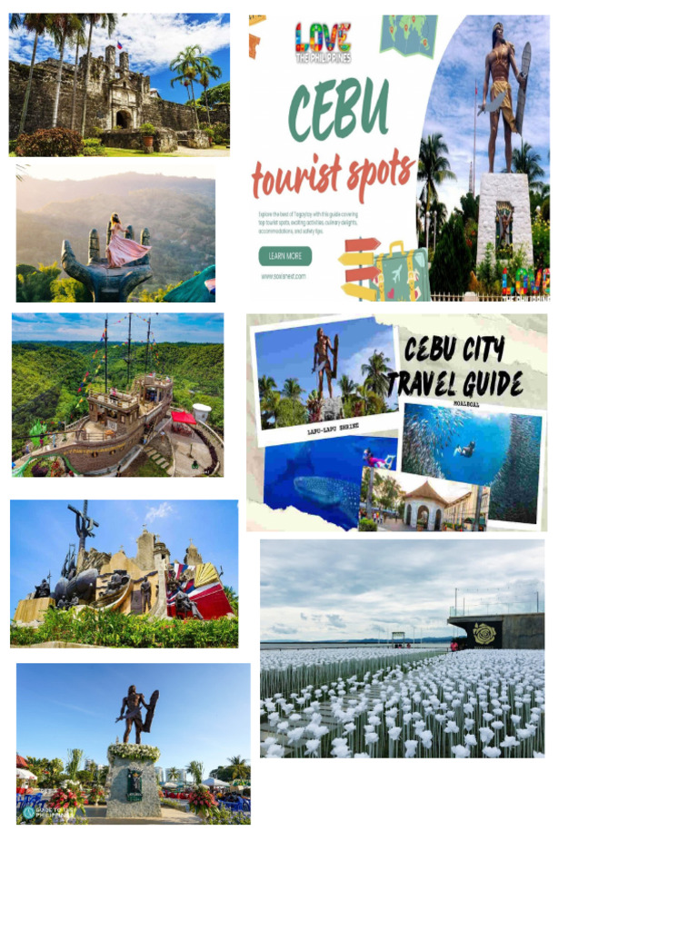 travel brushor | PDF