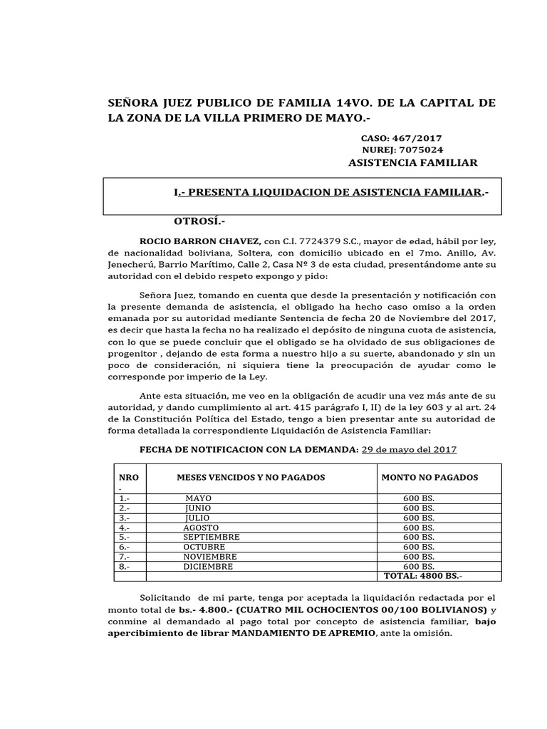 Liquidacion de Asistencia Familiar Rosio | PDF