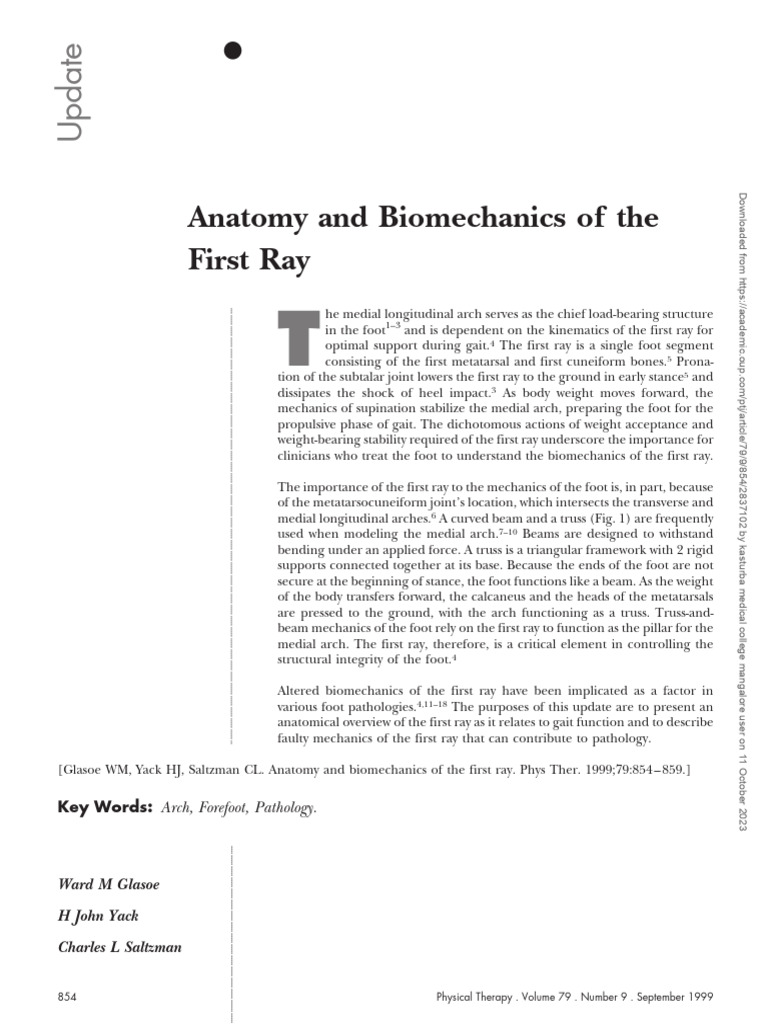 Anatomy and Biomechancis of 1st Ray | PDF | Foot | Anatomical Terms Of ...