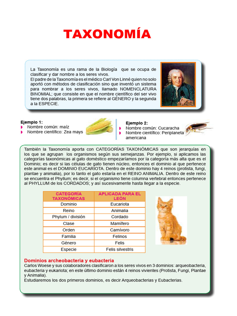 2.-Taxonomía-Ciencia y Tecnologia - ALUMNOS | Descargar gratis PDF ...