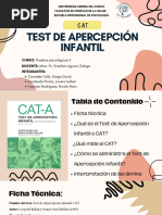 Test de Apercepción Infantil CAT-A | PDF | Carné de identidad | León