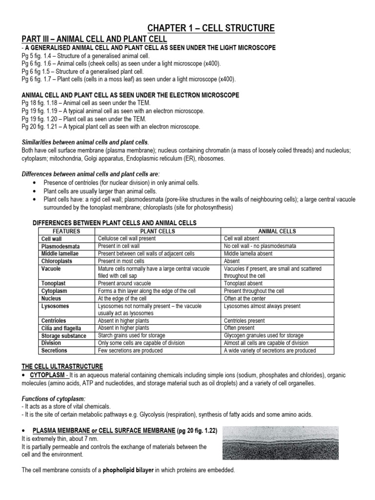 Biology Albu - 240131 - 112215 | PDF | Endoplasmic Reticulum | Cell Nucleus
