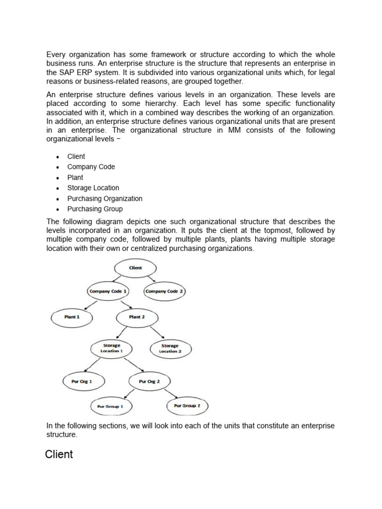 SAP MM Organization Structure | Download Free PDF | Procurement | Computing