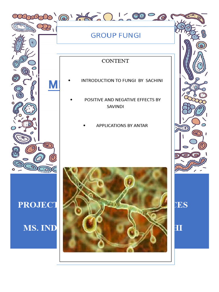 Project Report Final (2) | PDF | Protozoa | Virus