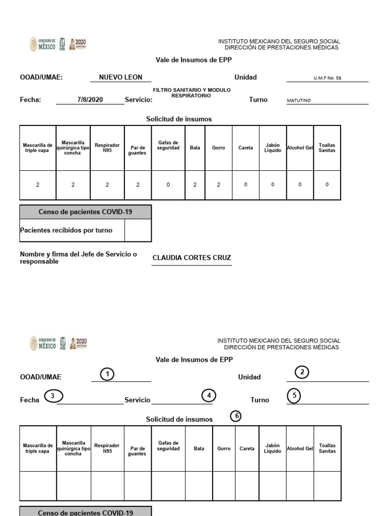 Vale de Insumos de EPP Ooad/Umae: Nuevo Leon Unidad | PDF
