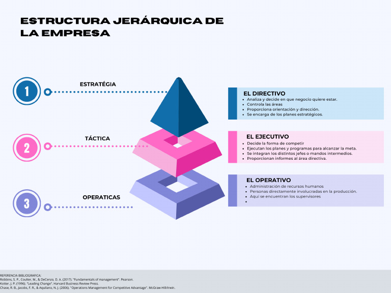 INFOGRAFIA DE ESTRUCTURA JERARQUICA DE LA EMPRESA | PDF