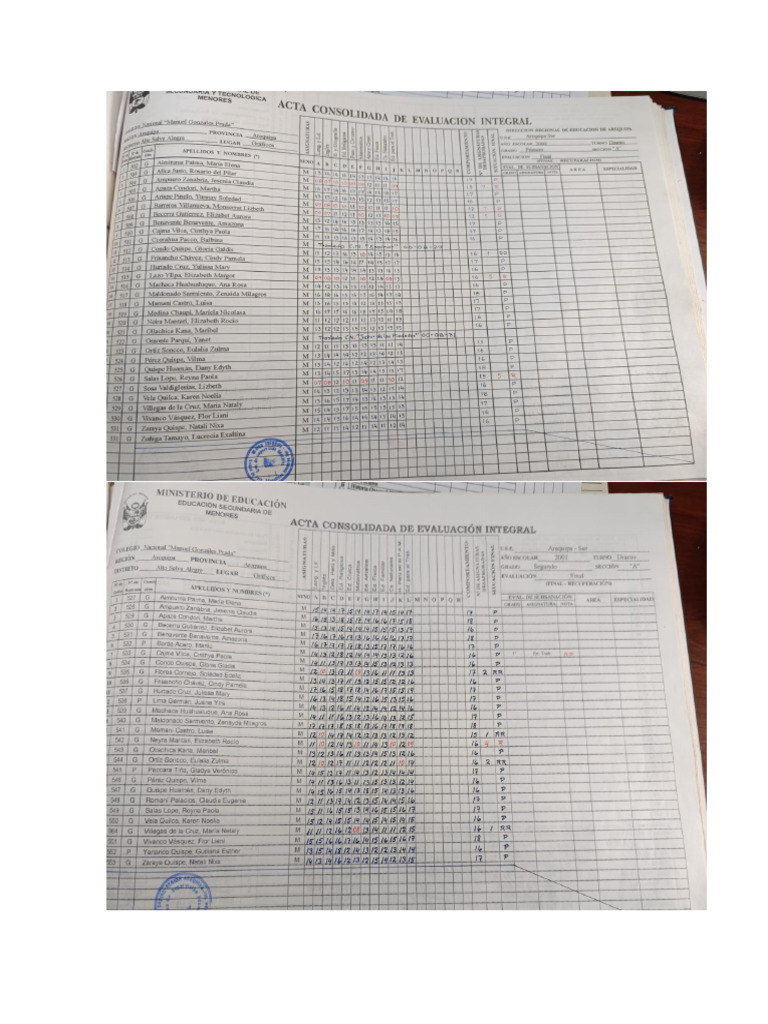 Perez Quispe Vilma | PDF