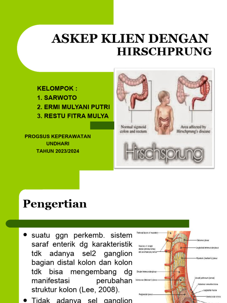Hisprung | PDF | Kesehatan Holistik