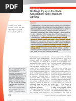Outerbridge Classification of Cartilage Lesions | PDF | Knee | Cartilage