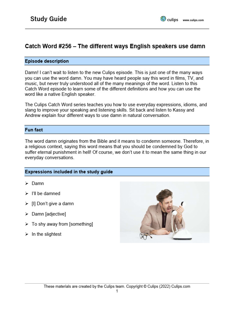 CW256 The Different Ways English Speakers Use Damn | PDF | Profanity ...