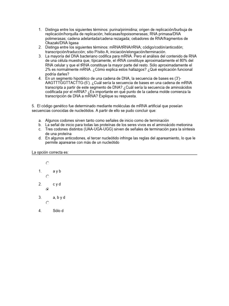 Taller sobre ADN, ARN, proteinas | PDF
