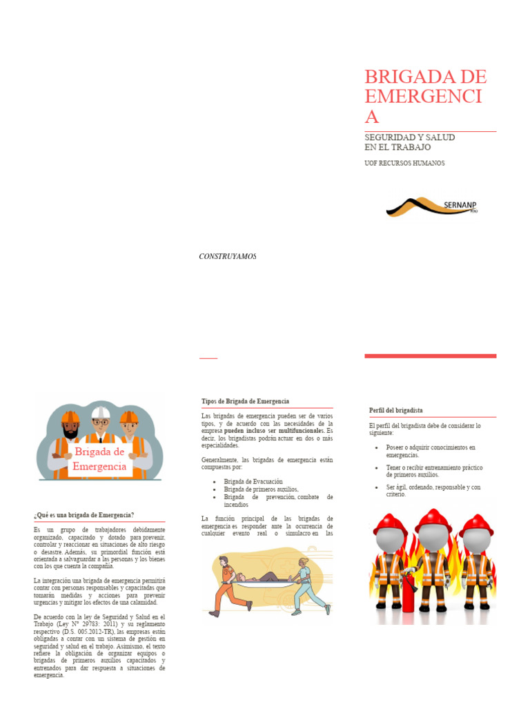 Triptico de Brigadistas | PDF | Emergencia | Valores