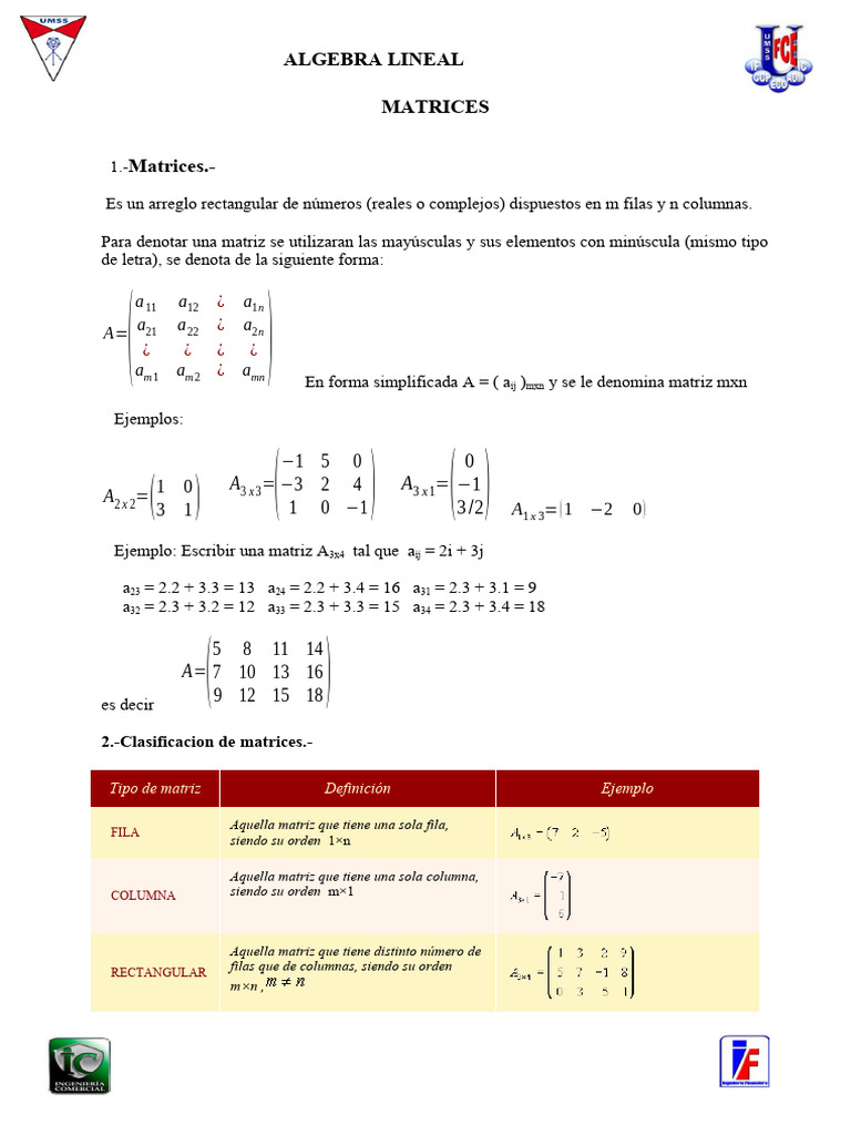 Tema 1 Matrices | PDF | Matriz (Matemáticas) | Física Matemática