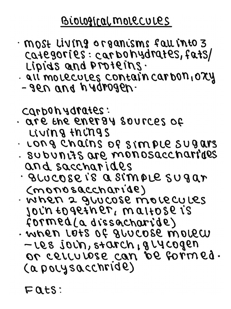 Biological Molecules | PDF