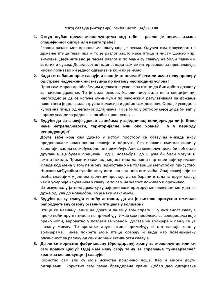 Interviju Mica Vasic | PDF