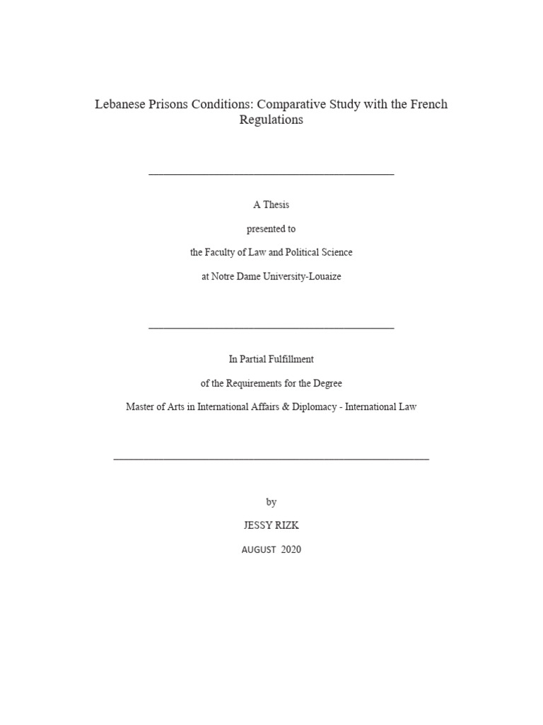 Lebanese Prisons Conditions - Jessy Rizk | PDF | Detention ...