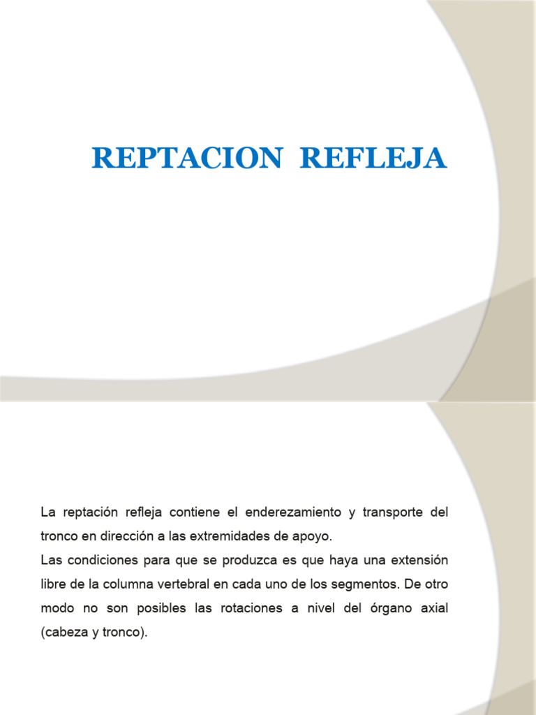 Reptación Refleja: Movimientos y Funciones | PDF | Codo | Hombro