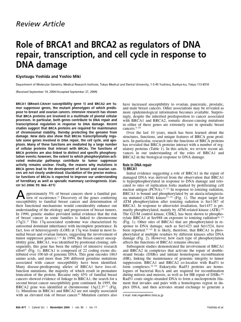 Cancer Science - 2005 - Yoshida - Role of BRCA1 and BRCA2 As Regulators ...