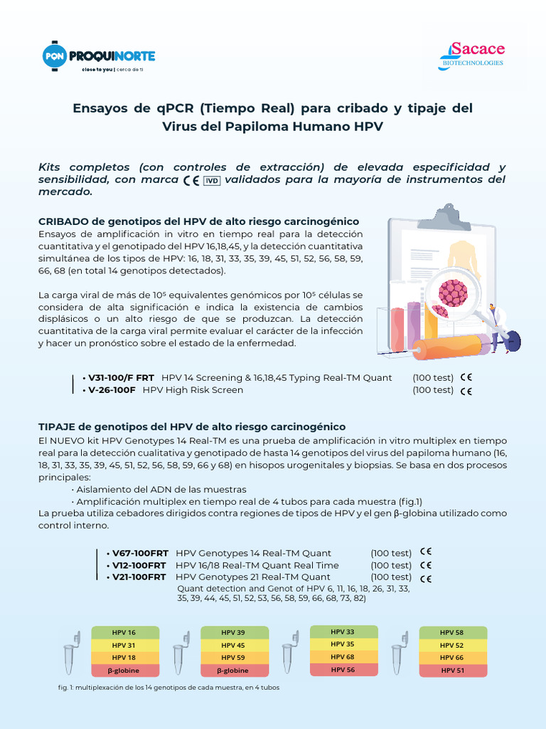 Detección y Tipaje de 14 Genotipos de HPV | PDF | Virus | Biología