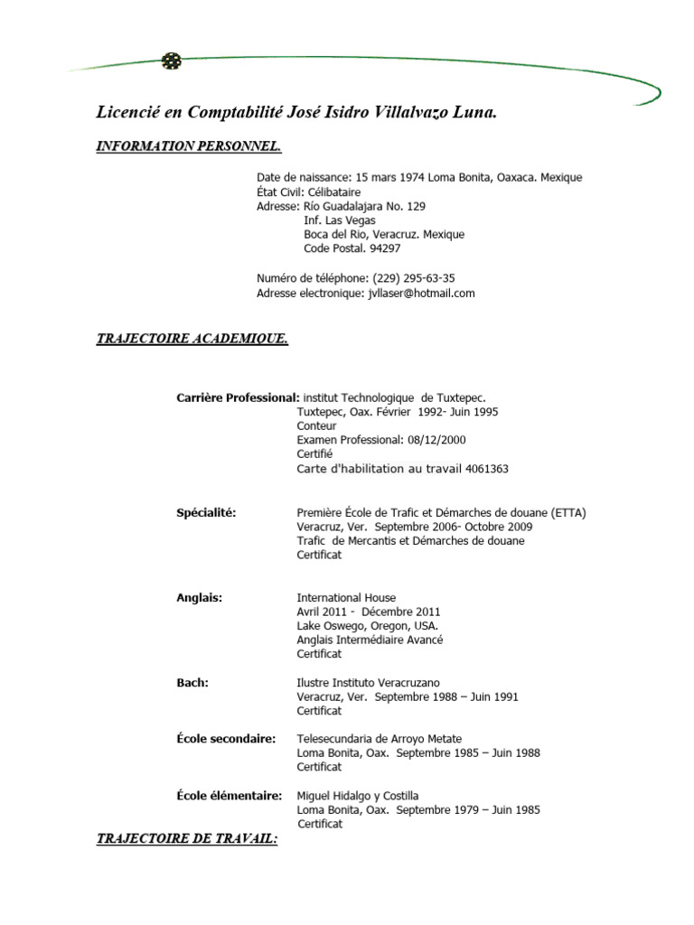 CV Jose | Descargar gratis PDF | Contabilidad | Business