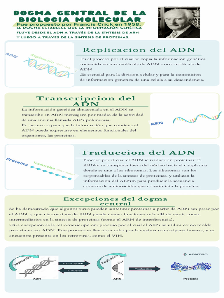 Types of Cells Infographic in Green White Blue Illustrative Style | PDF