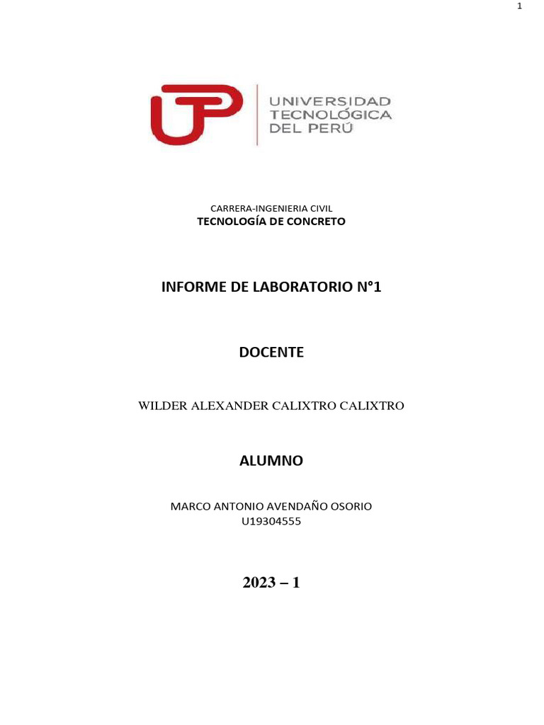 Informe - LC01 - Marco Avendaño Osorio | PDF | Laboratorios